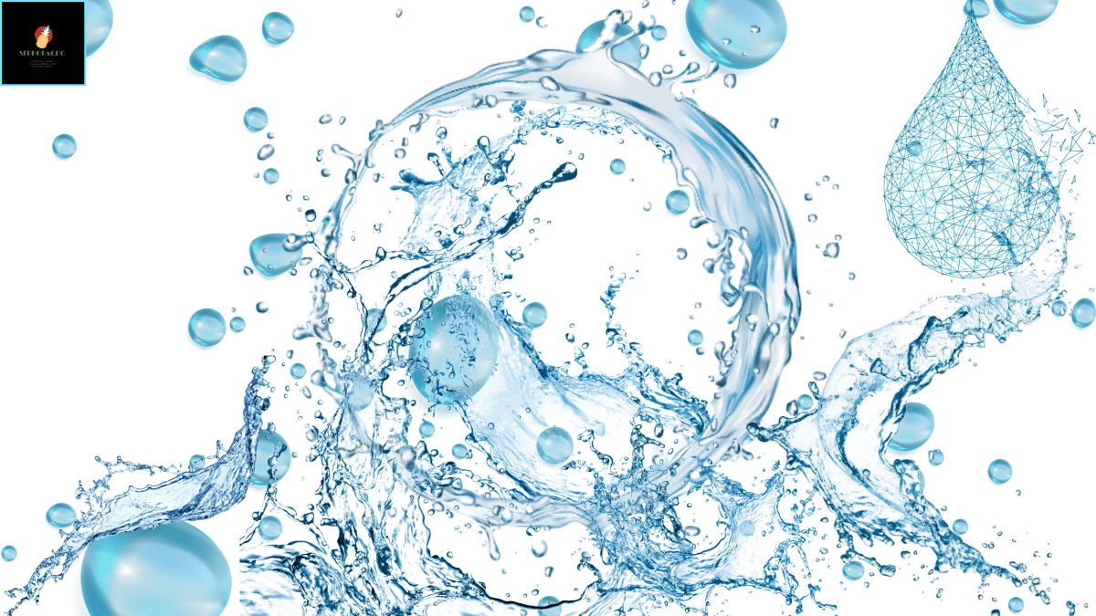 Comprendre l’eau que nous buvons : Types et Risques – SEPHORAGRO